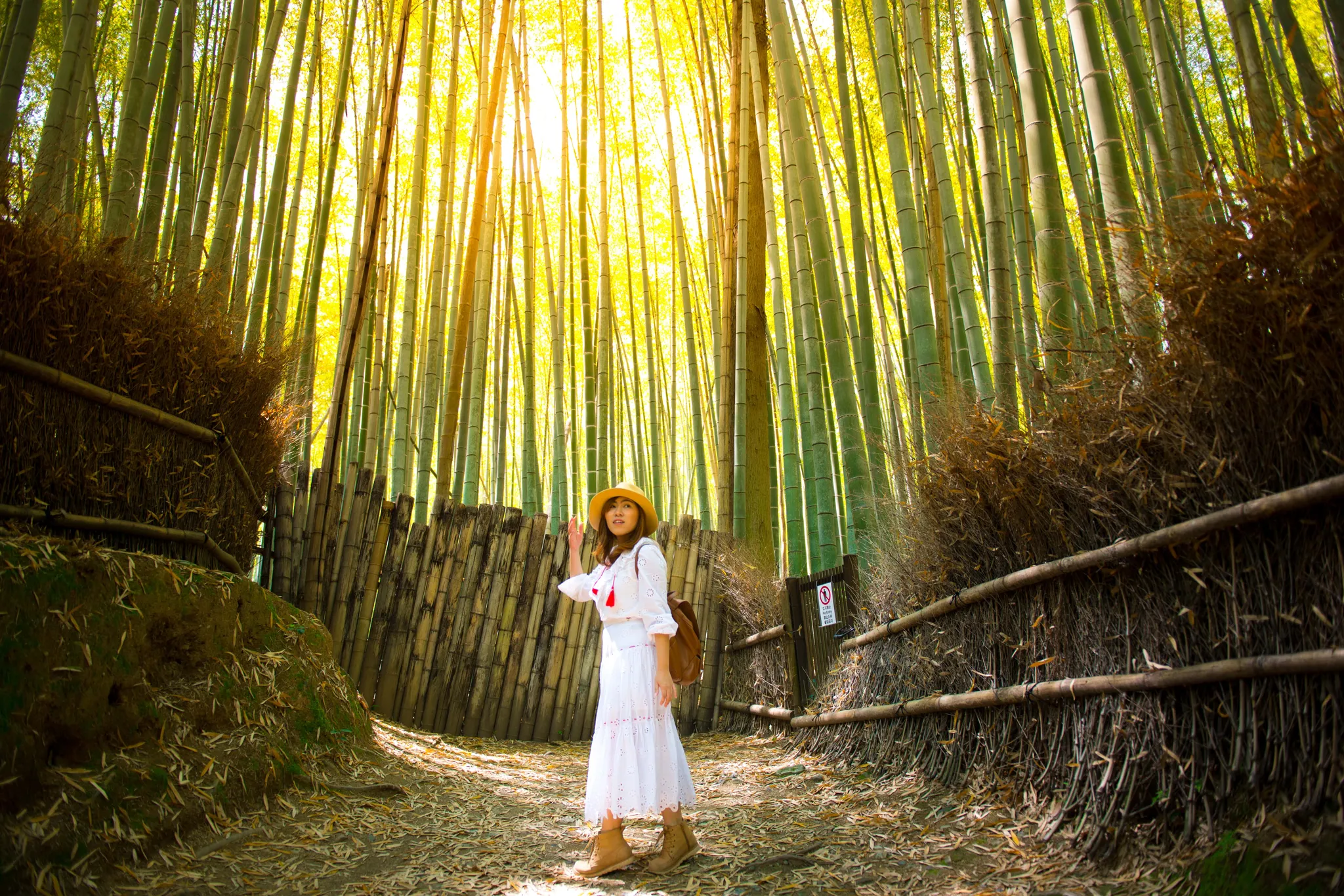 Kyoto: Professional photoshoot at Arashiyama Bamboo Forest